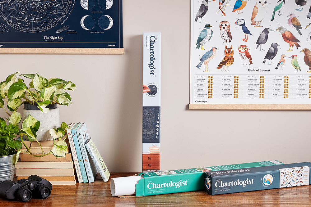 *REA Poster Garden Birds