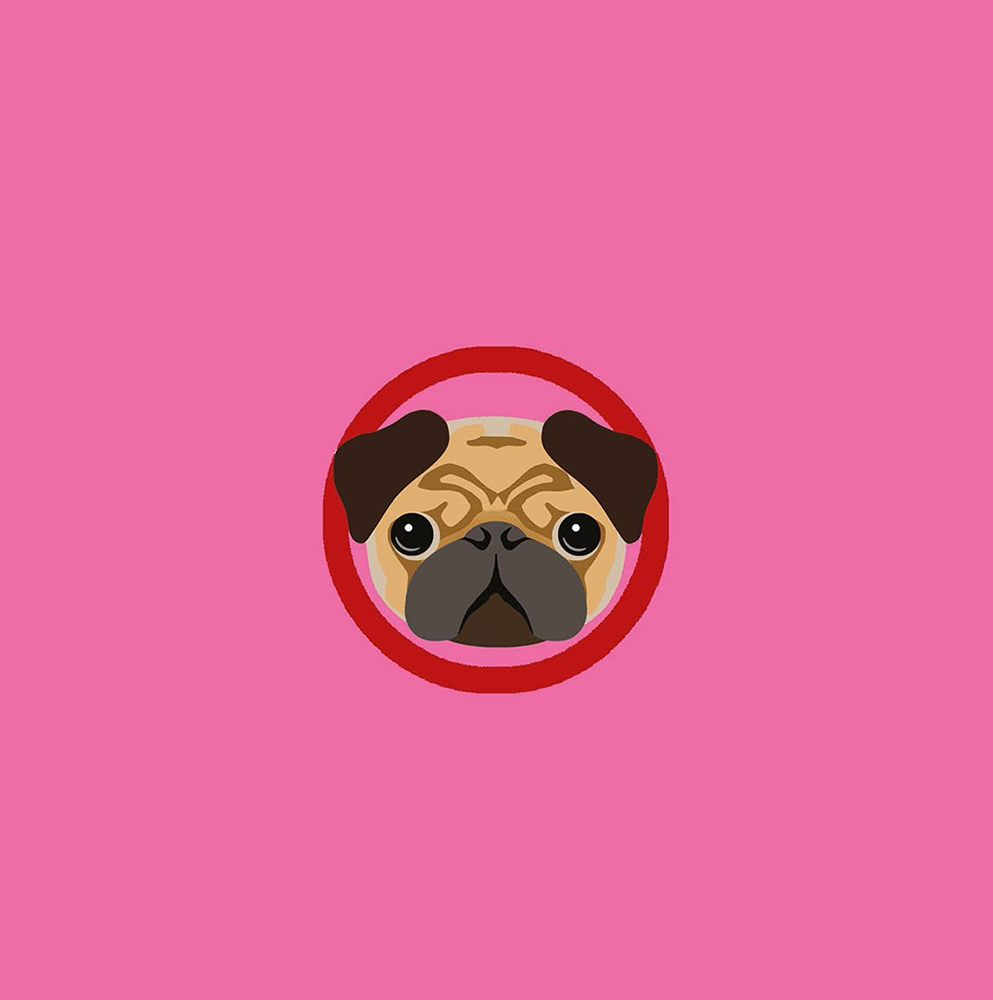 *Pop-Upkort Pug