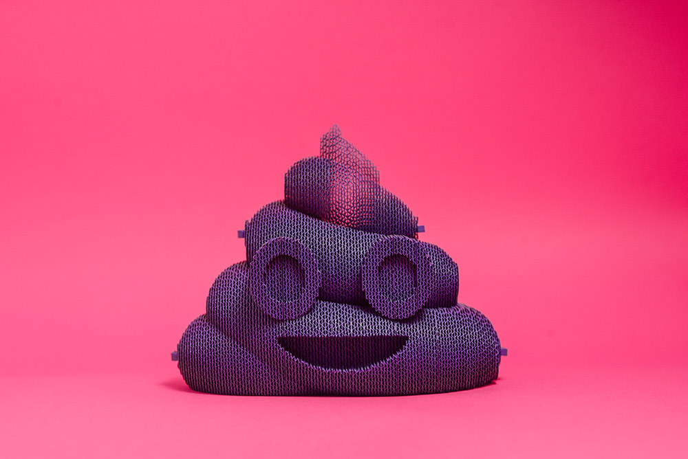 *Cartonic 3D Pussel POOP