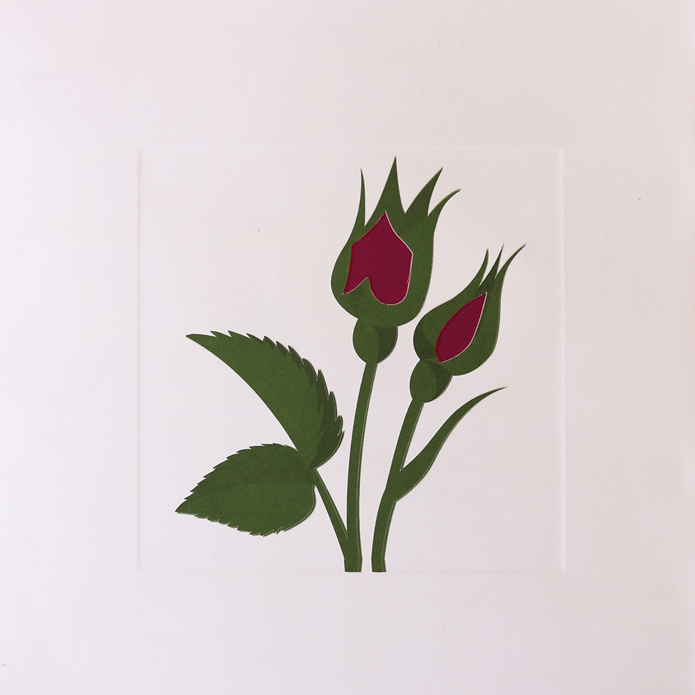 *Pop-upkort Ros MörkRöd