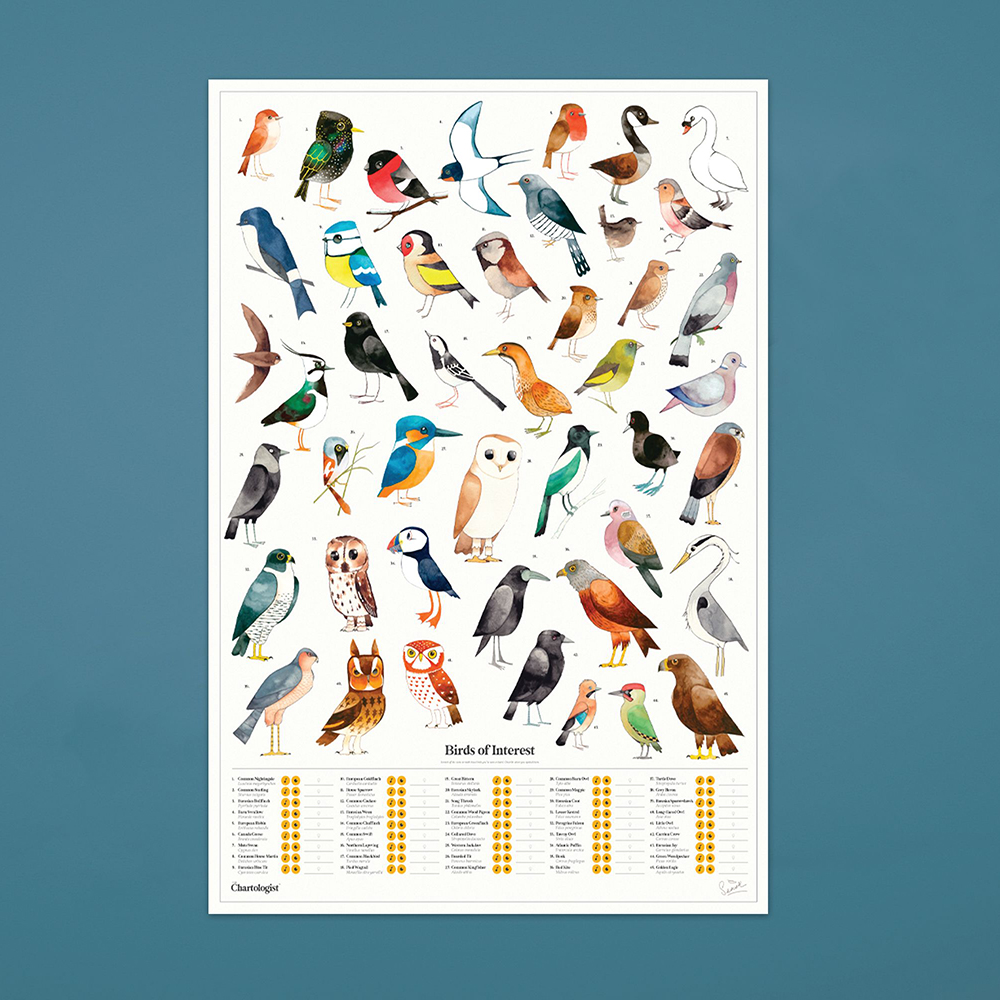 *REA Poster Garden Birds