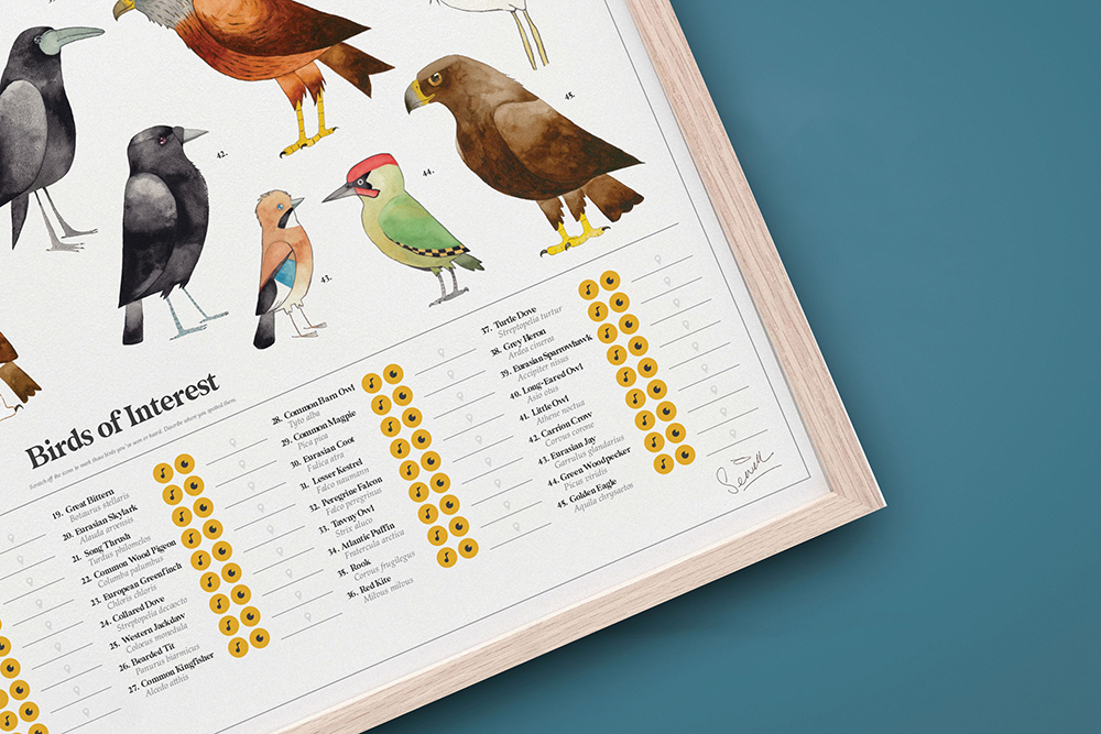 *REA Poster Garden Birds